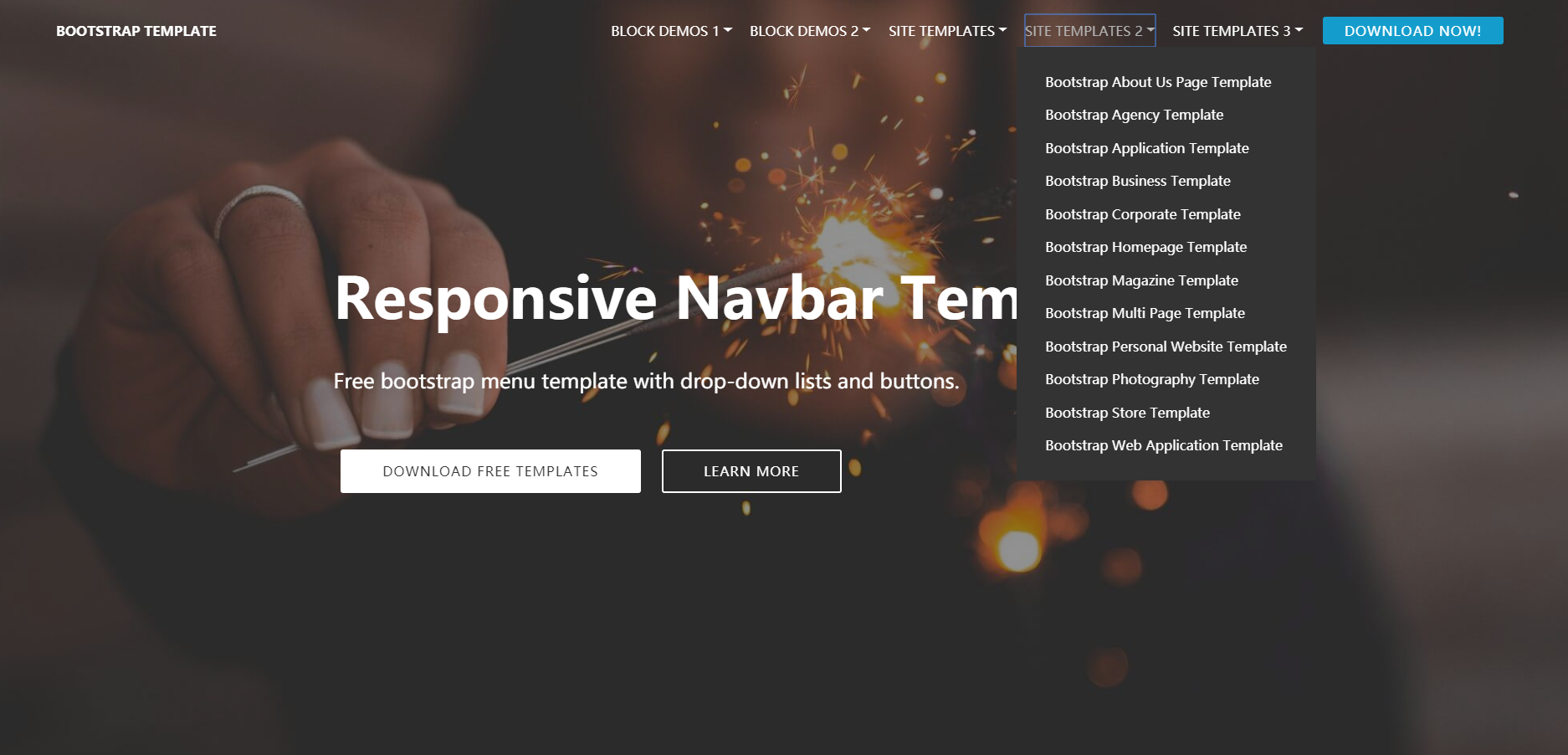 Navbar Bootstrap 4 Template Free Denah